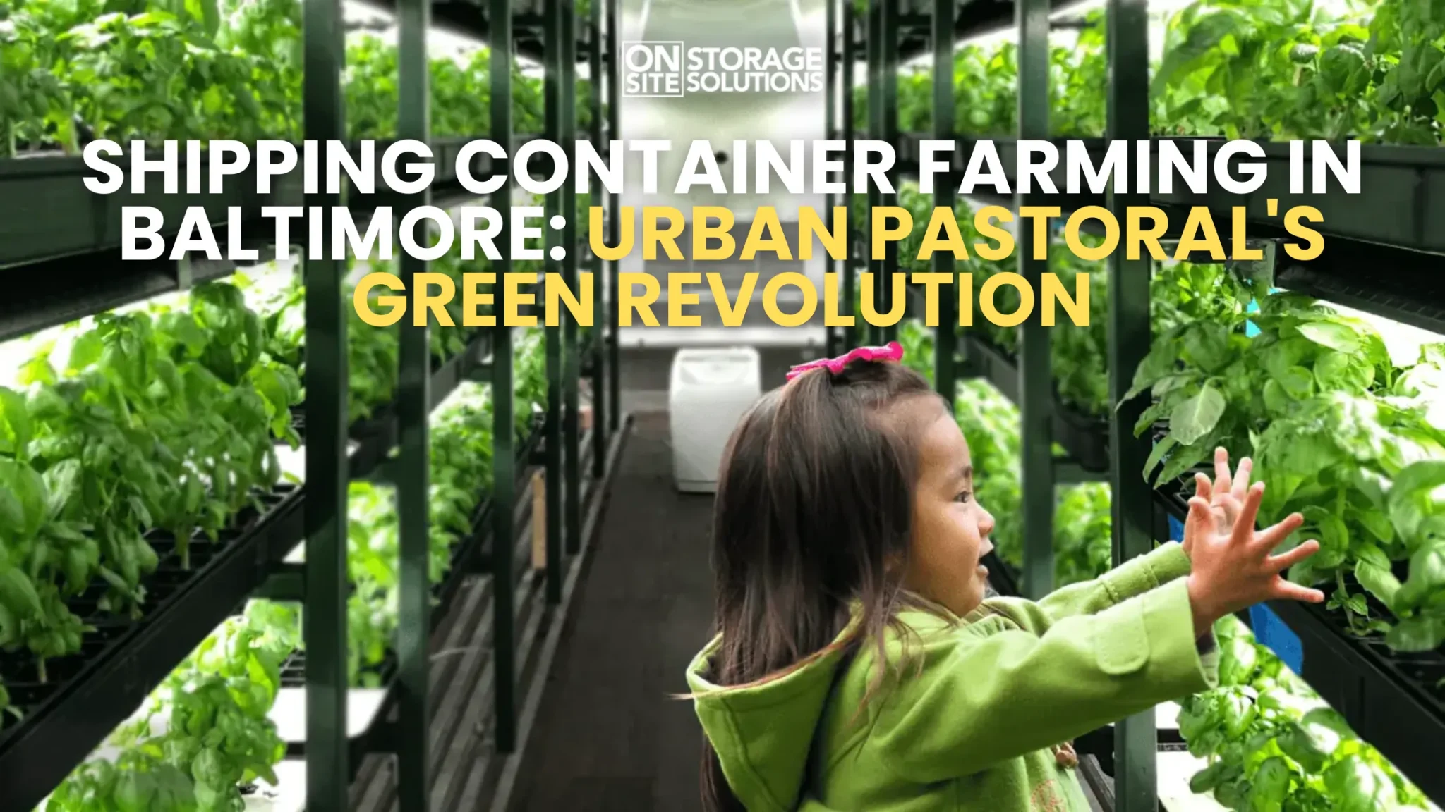 Shipping Container Farming in Baltimore: Urban Pastoral's Green Revolution