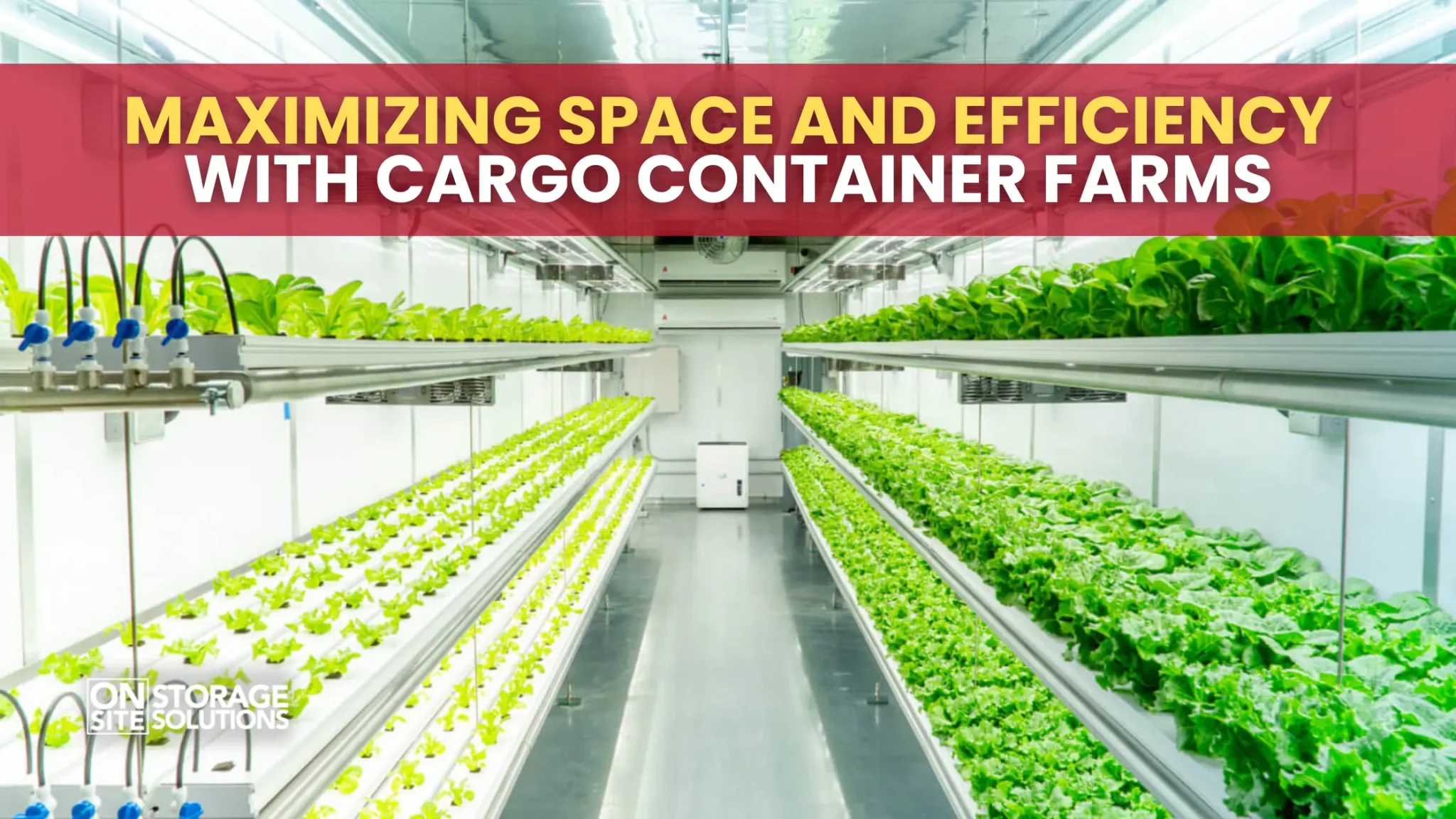 Maximizing Space and Efficiency with Cargo Container Farms