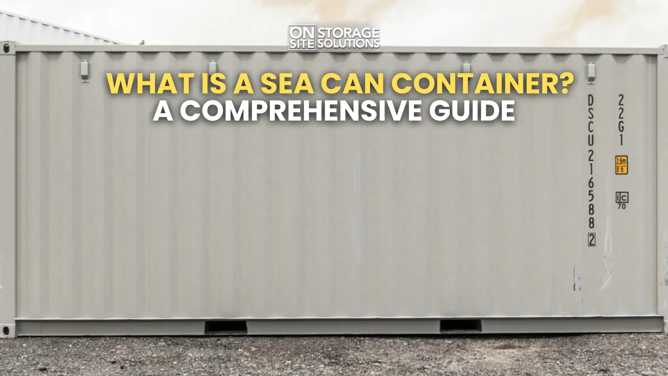 What Is a Sea Can Container? Uses, Types, and Dimensions